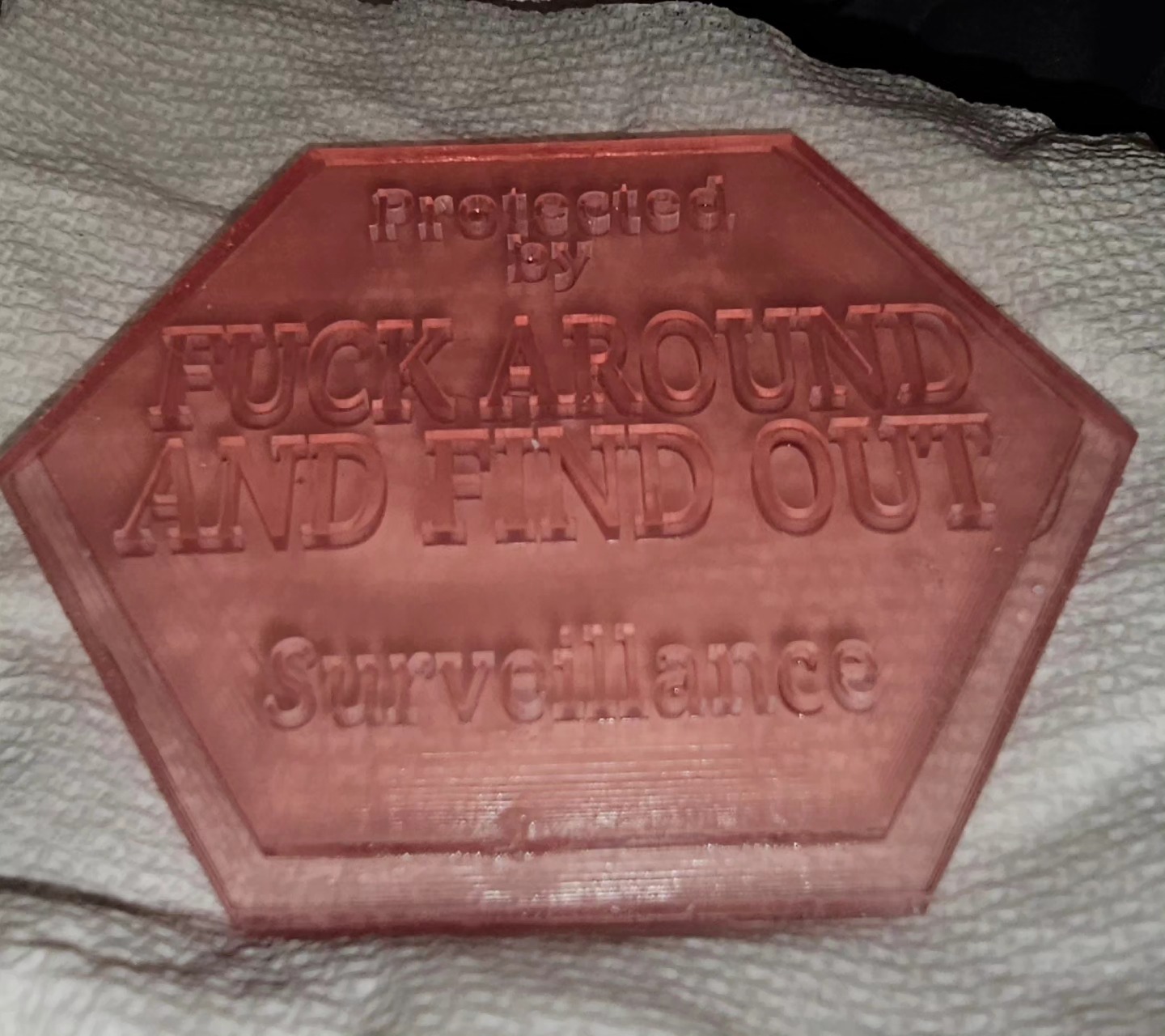 F around and find out plaque by cmbcomp | Download free STL model ...