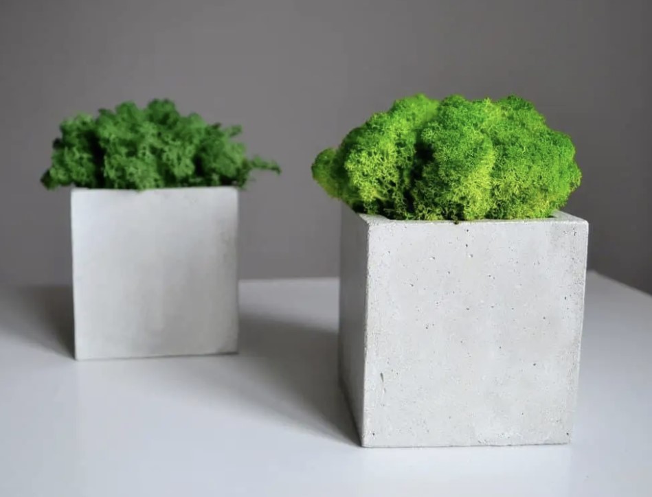 Plant pots for stabilized moss #1 by Yakushkin Andrey | Download free ...