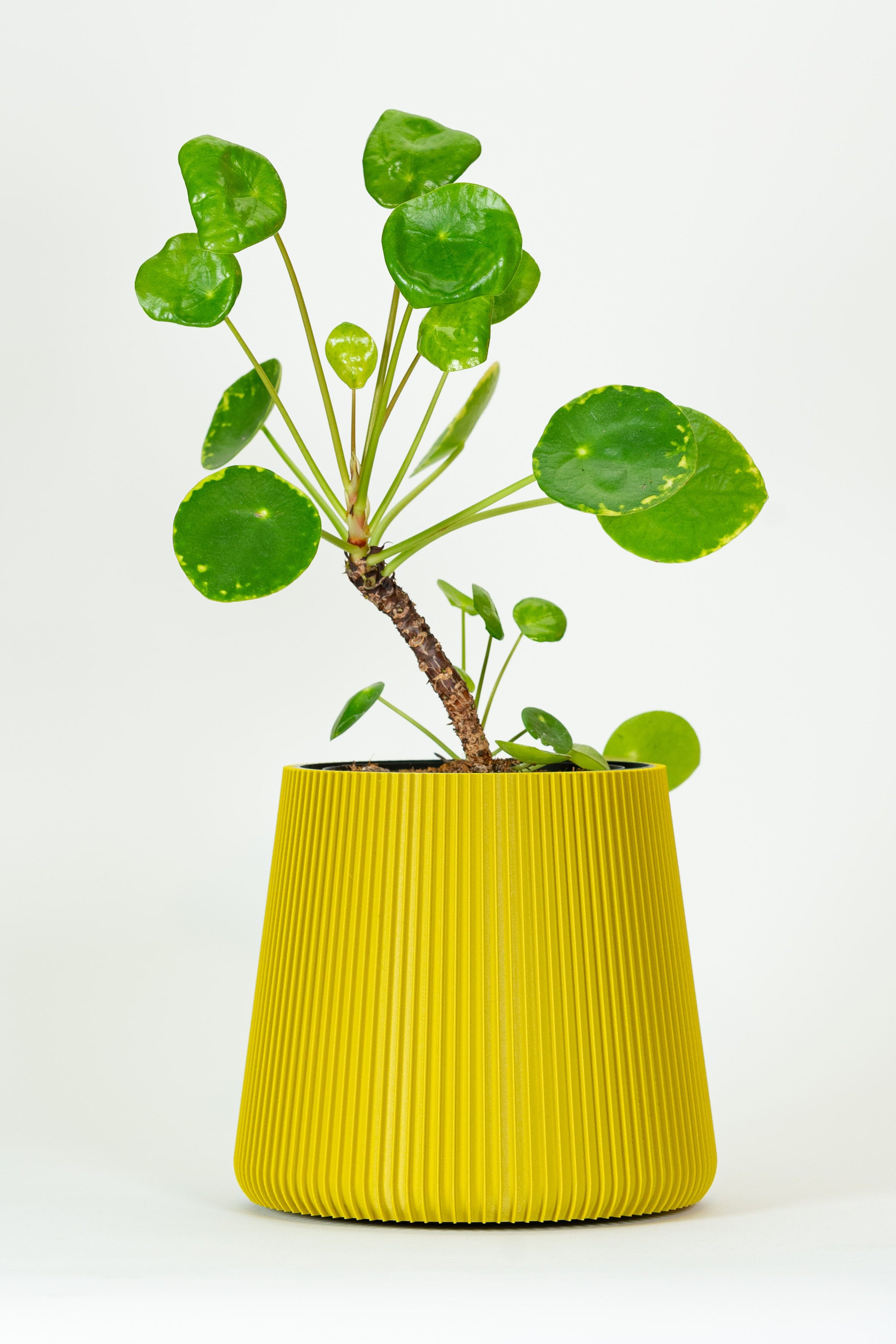 AEROPOD - Cone Ridge - Flower Pot System by Heart Labs | Printables Store