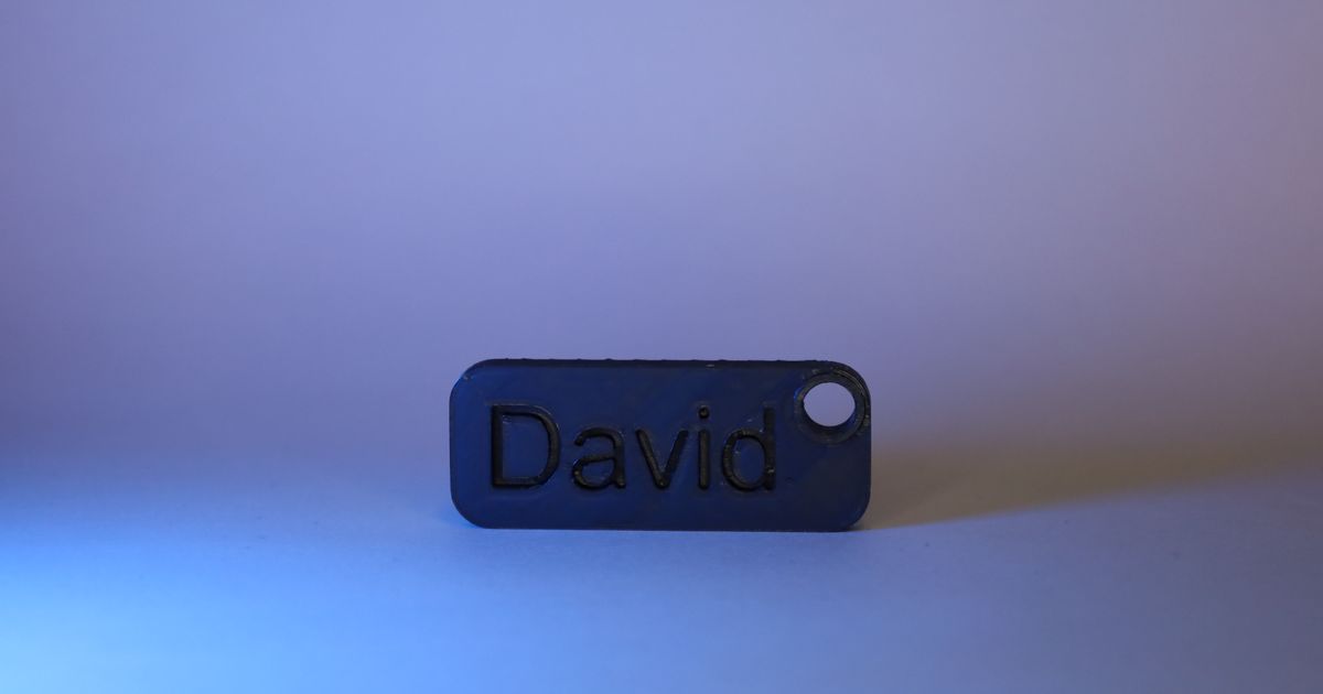 David Key Chain by SleepyDAVE_1210 | Download free STL model ...