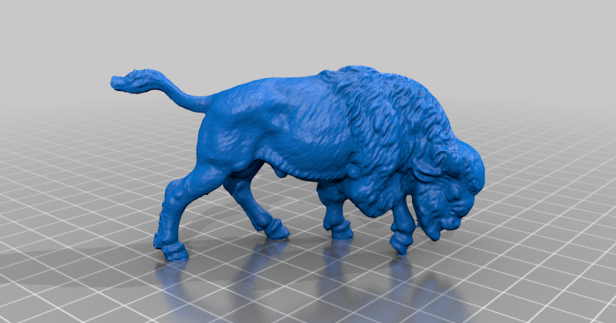 Buffalo 3D Scan by openscan | Download free STL model | Printables.com