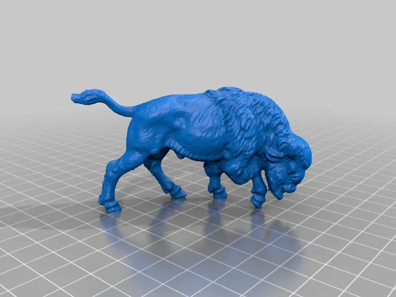 Buffalo 3D Scan by openscan | Download free STL model | Printables.com