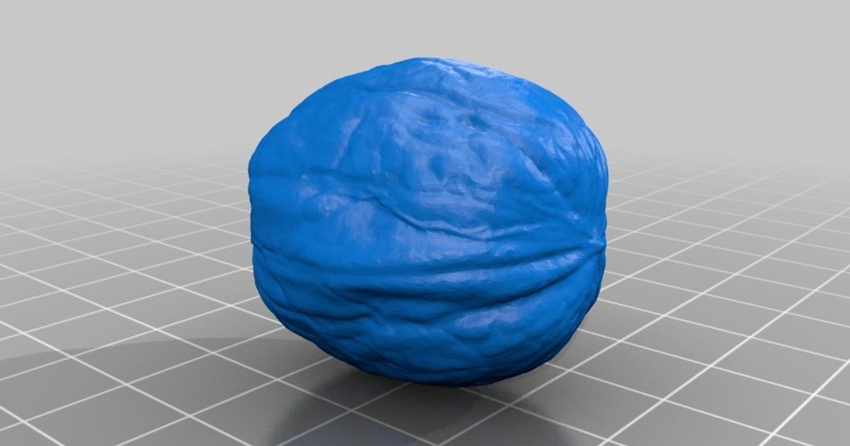Walnut - 3D Scan by openscan | Download free STL model | Printables.com
