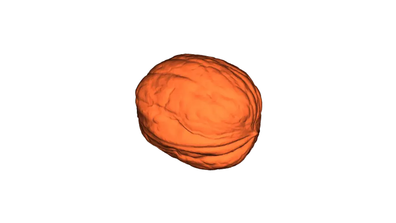 Walnut - 3D Scan by openscan | Download free STL model | Printables.com