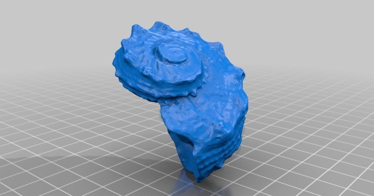 Sea Shell - 3D Scan by openscan | Download free STL model | Printables.com