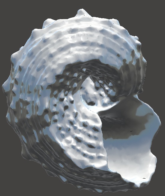 Sea Shell - 3D Scan by openscan | Download free STL model | Printables.com