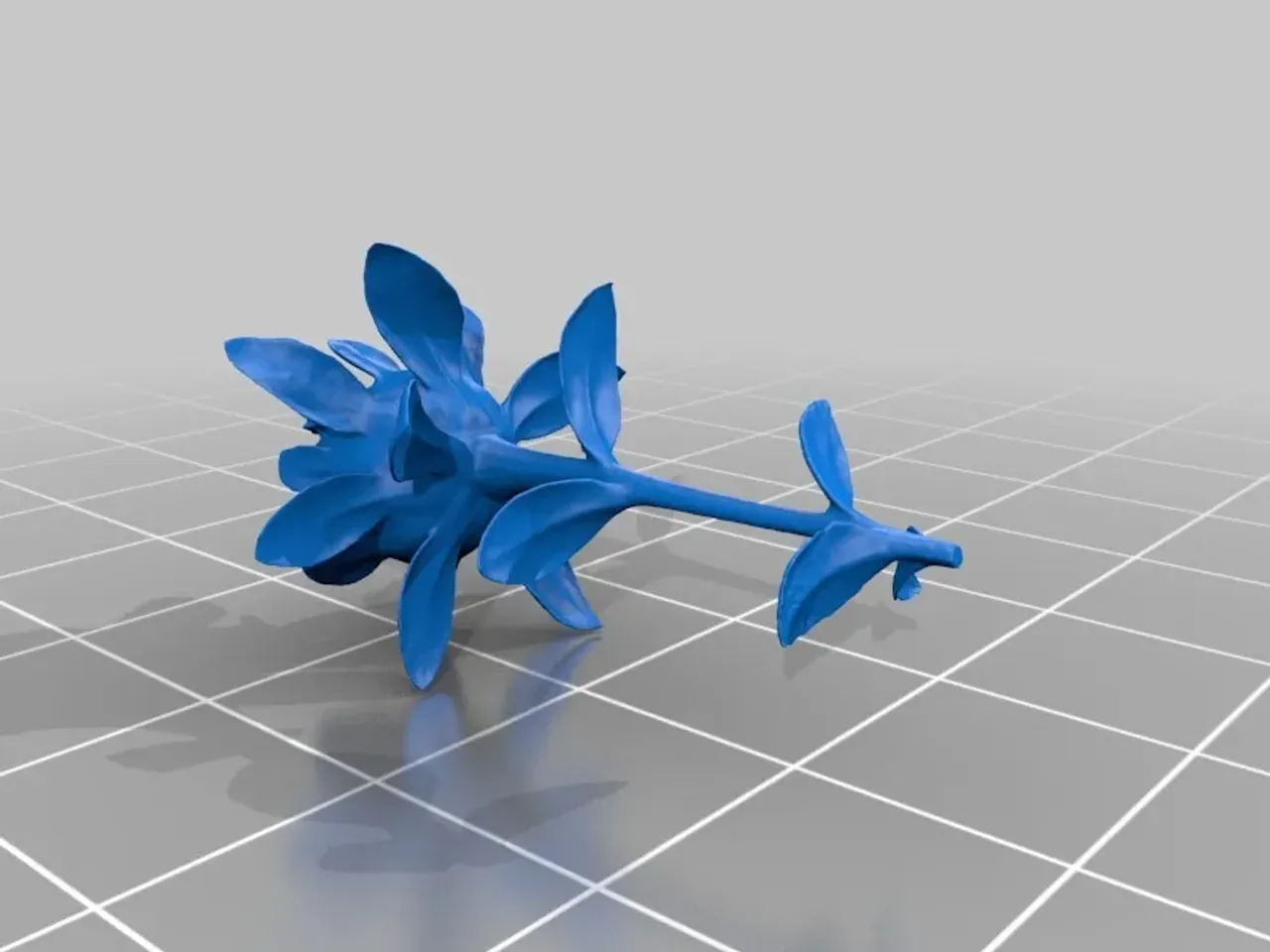 Flower - 3D Scan by openscan | Download free STL model | Printables.com