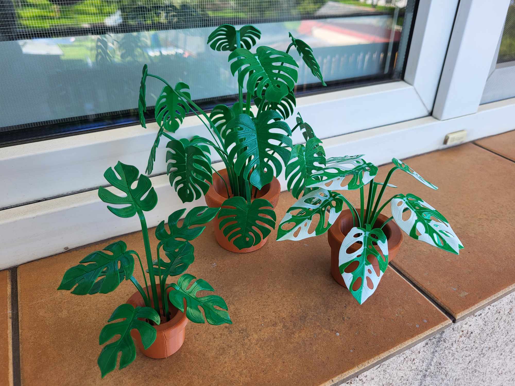 Print-a-plant - printable Monstera plant by Ocelotzlasu | Download free ...