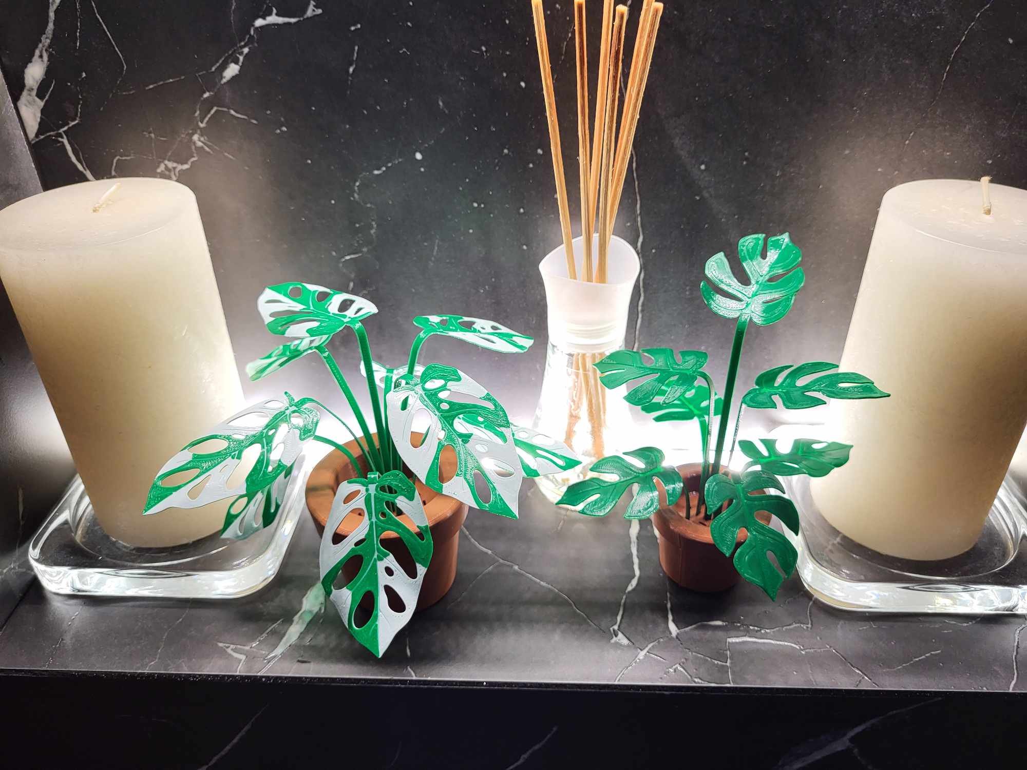 Print-a-plant - printable Monstera plant by Ocelotzlasu | Download free ...