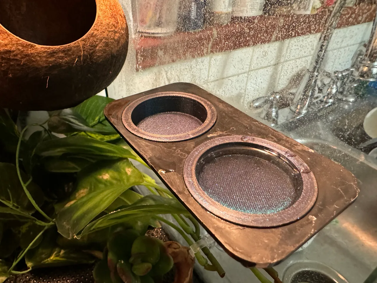 Gecko Bowl by SADhavoc86 | Download free STL model | Printables.com