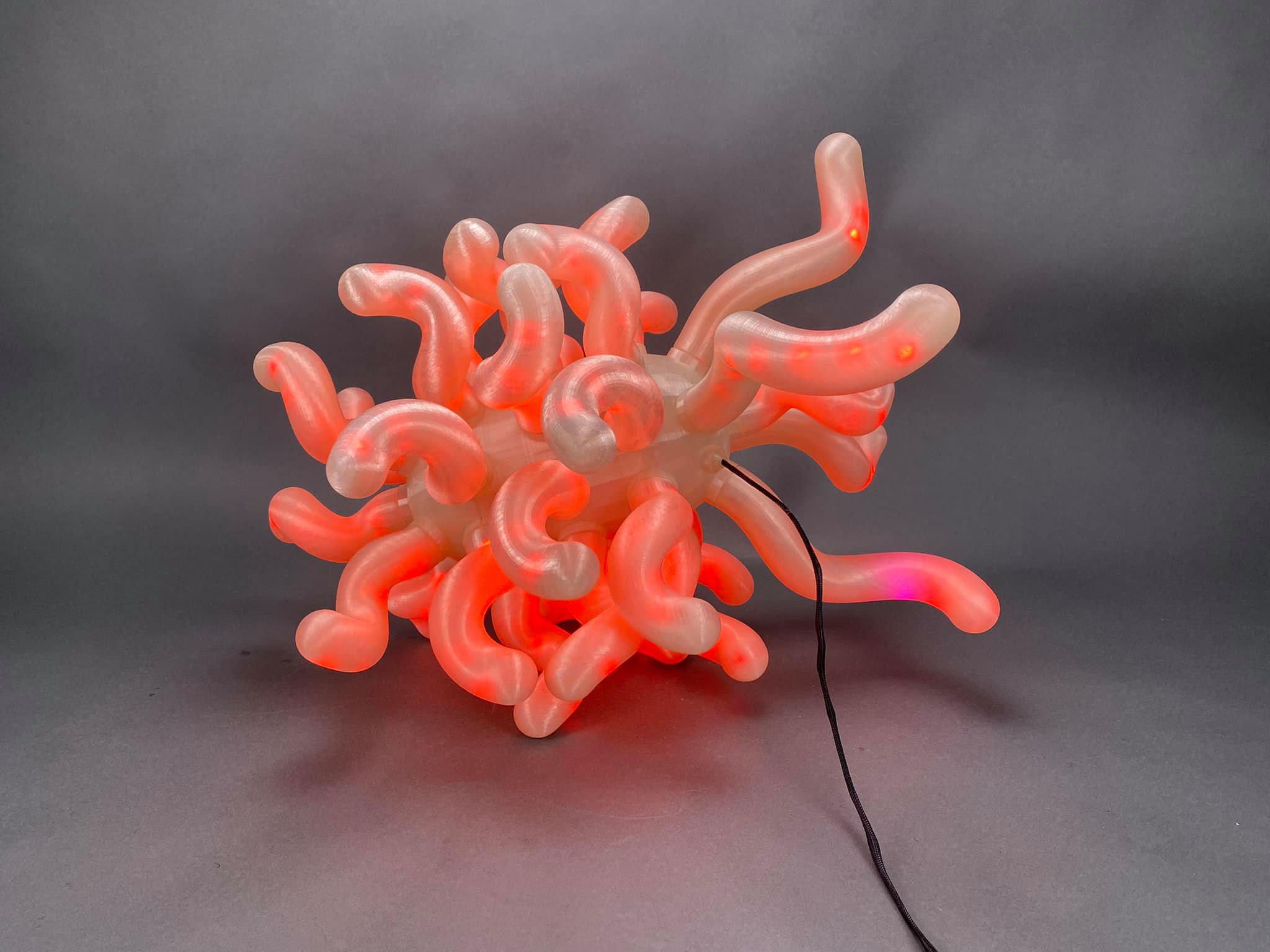 E. Coli Led Lamp by ChrisTheViolaNerd | Download free STL model ...