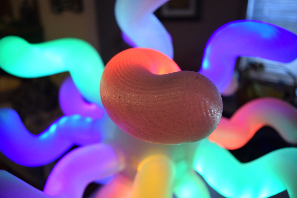 Amoeba LED Lamp-V1 by ChrisTheViolaNerd | Download free STL model ...