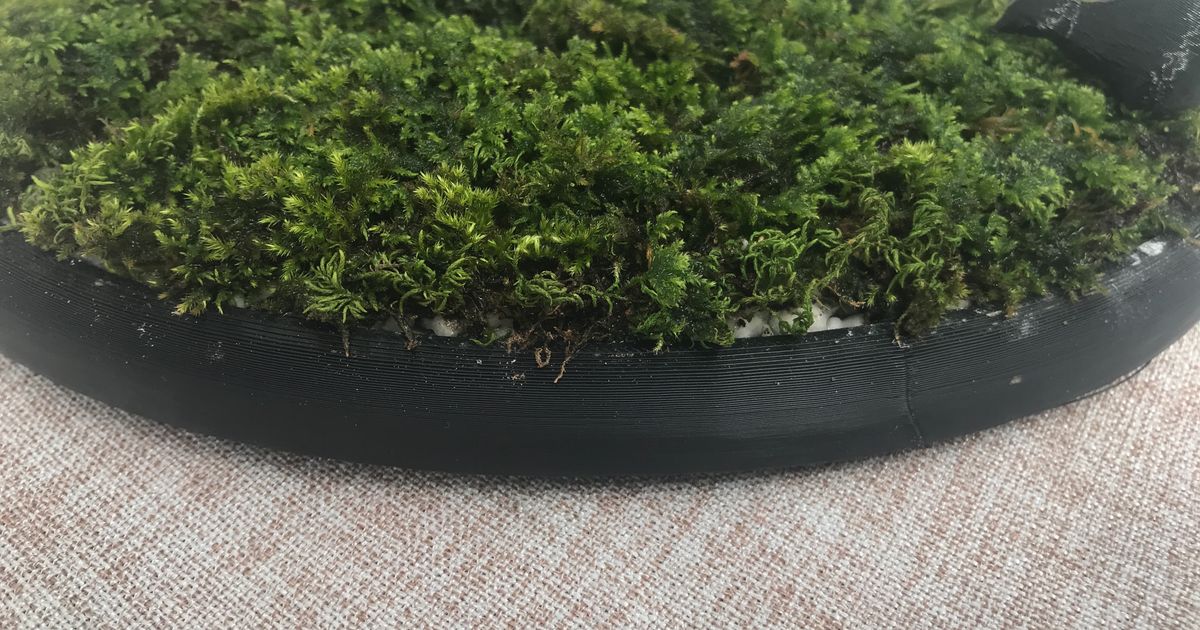 Self-hydrating Moss planter by Diadm | Download free STL model ...