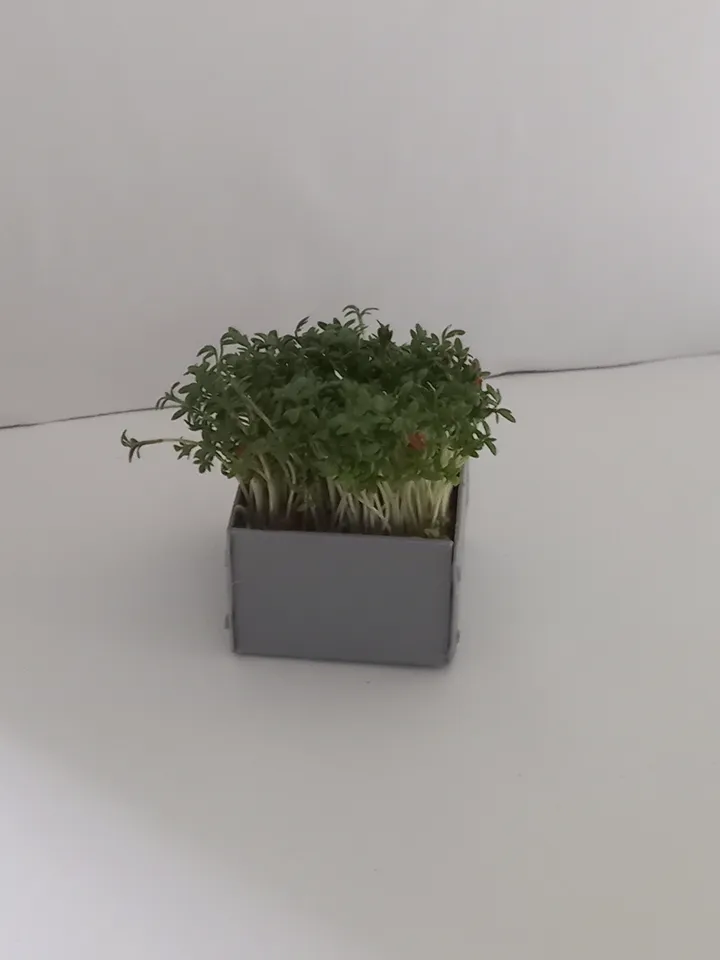 foldable plant box (kitcard) by k3uchhusten | Download free STL model ...