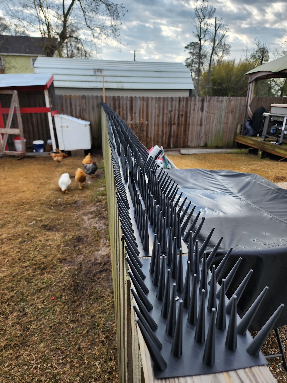 Bird Spikes for Wide Fence by ThyDayWalker | Download free STL model ...