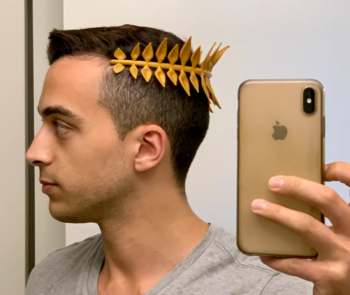 Laurel Wreath (Pit/ Dark Pit SSMU) by Ricky | Download free STL model ...