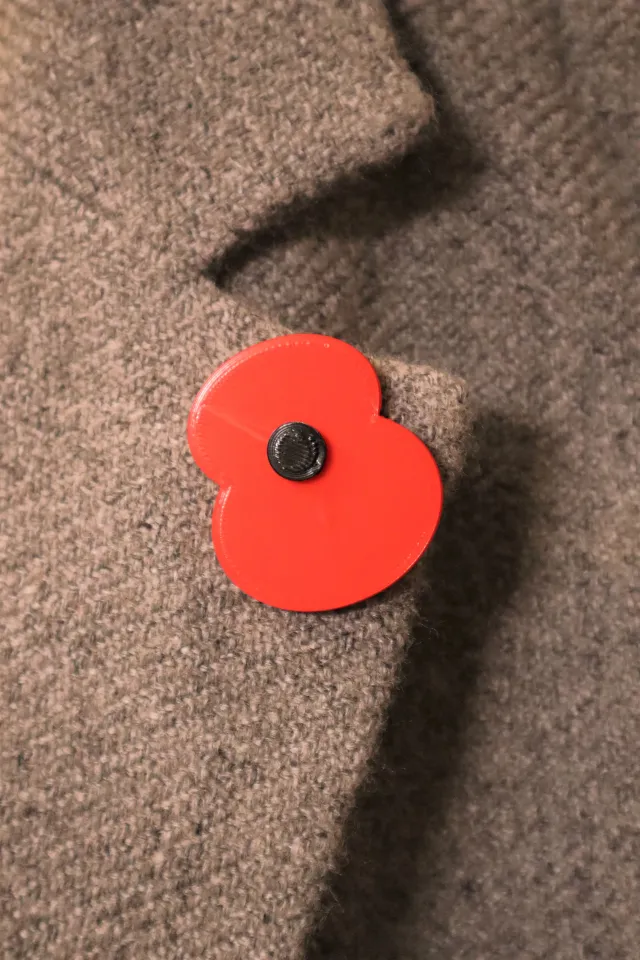 Remembrance poppy by John | Download free STL model | Printables.com