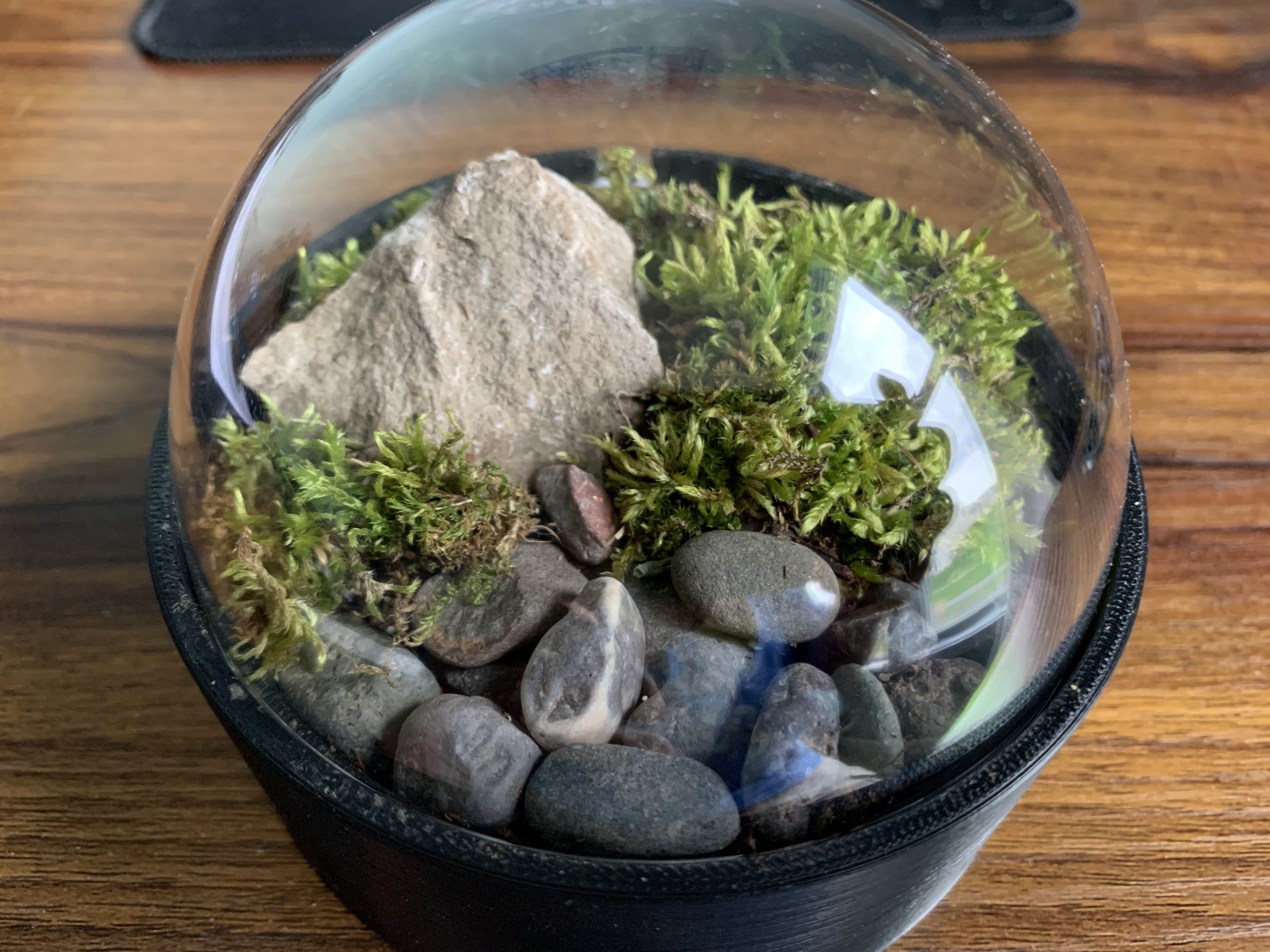 Desktop Terrarium - 100 mm by J. Bowling | Download free STL model ...