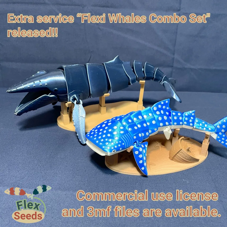 Flexi Whale Shark Print In Place By 3d Flexseeds Download Free Stl