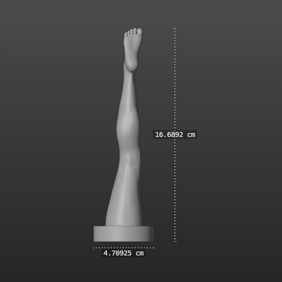 "THE LEG" 01 by DiegoRolando93D | Download free STL model | Printables.com