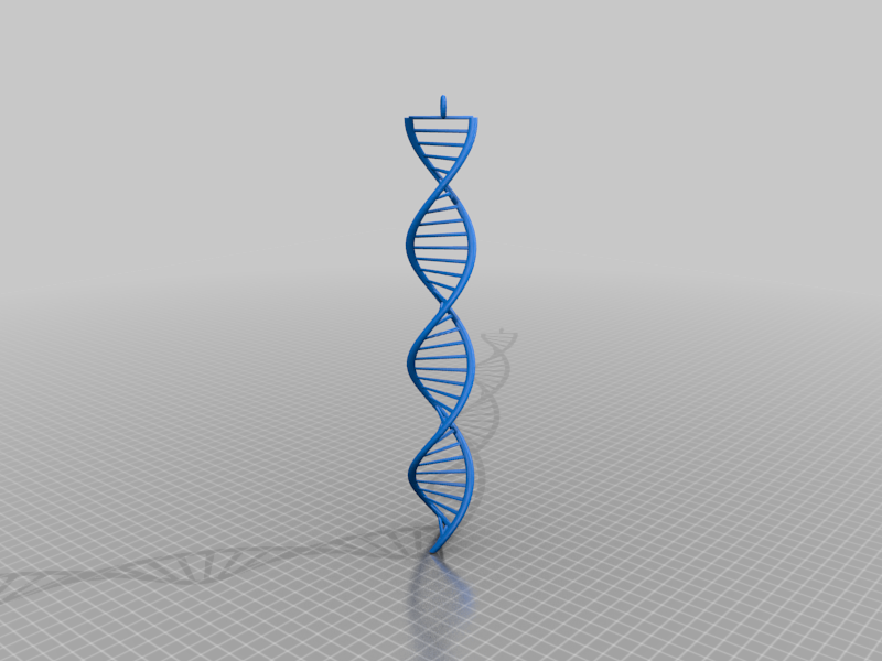 DNA-Helix by jex7 | Download free STL model | Printables.com