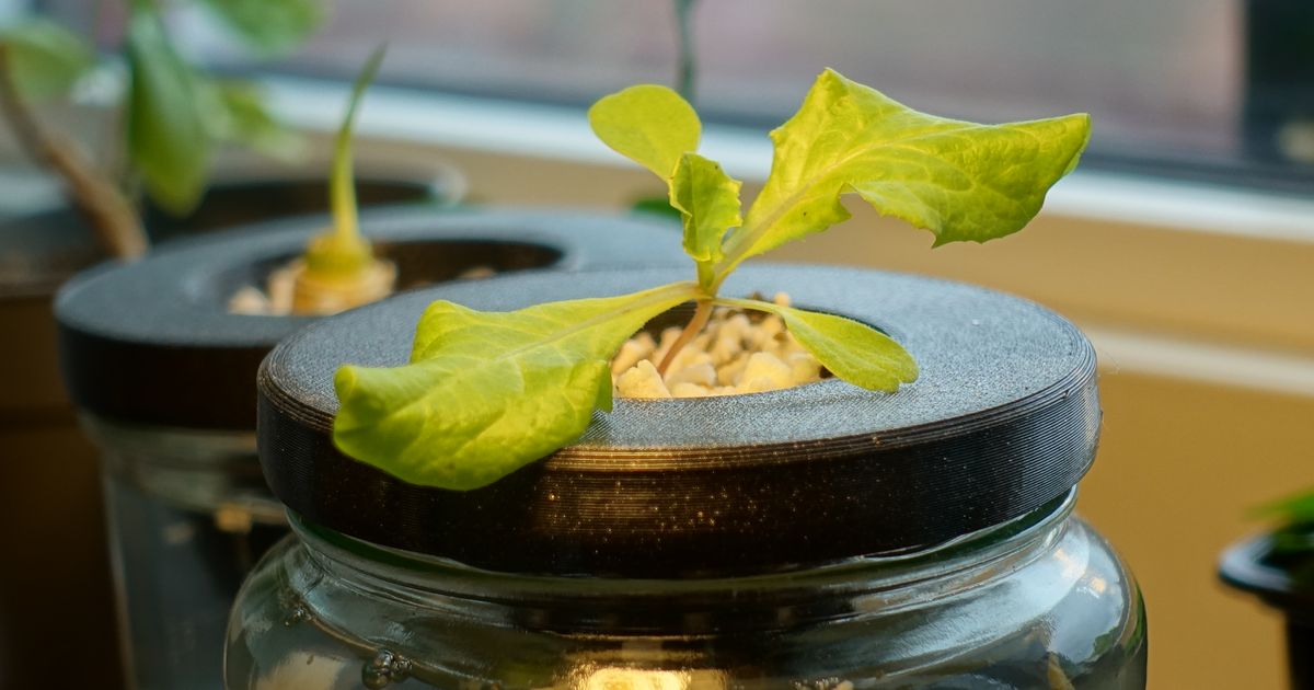 Hydroponic Net Pot Lid by ishikawats | Download free STL model ...