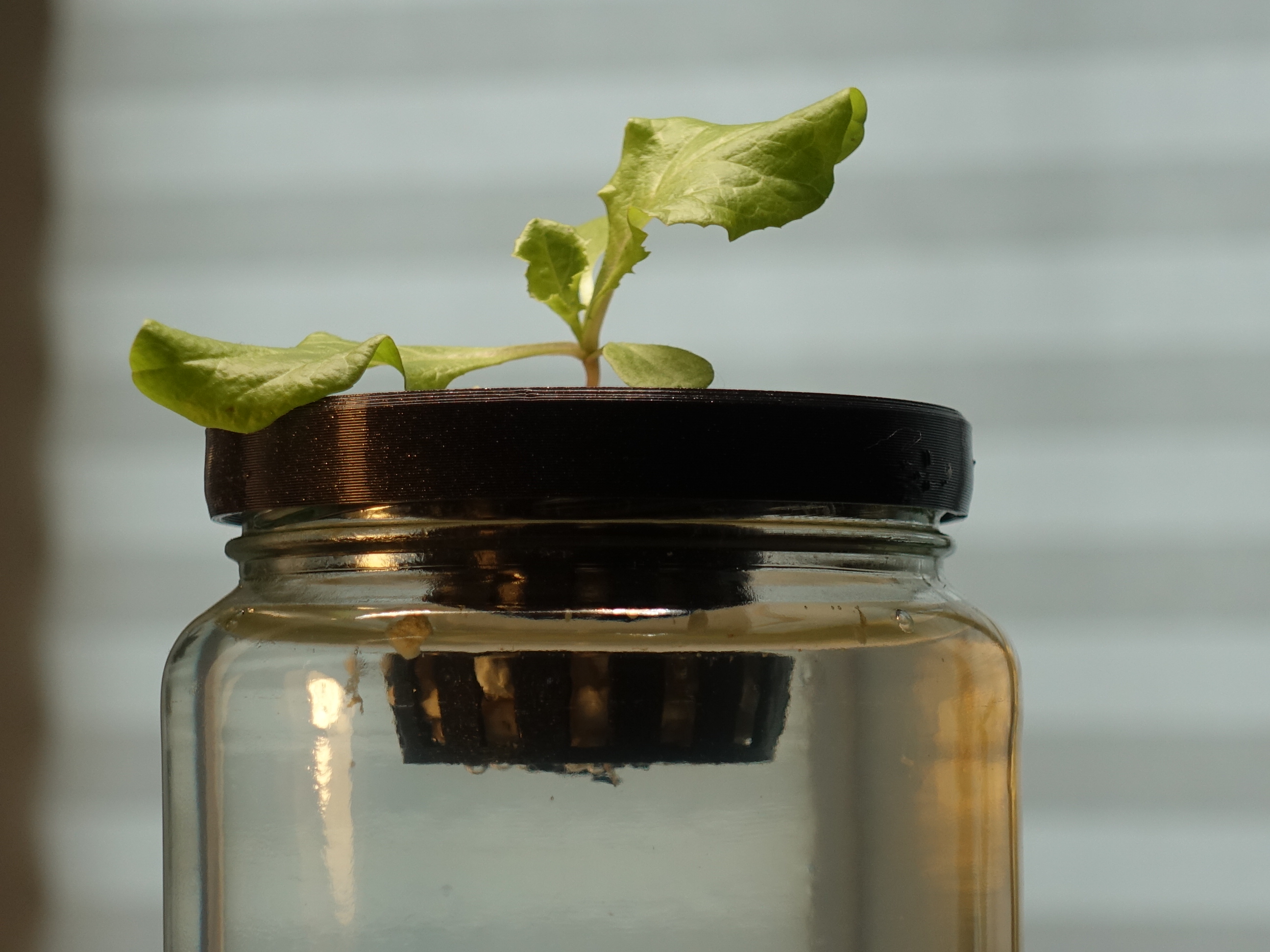 Hydroponic Net Pot Lid by ishikawats | Download free STL model ...