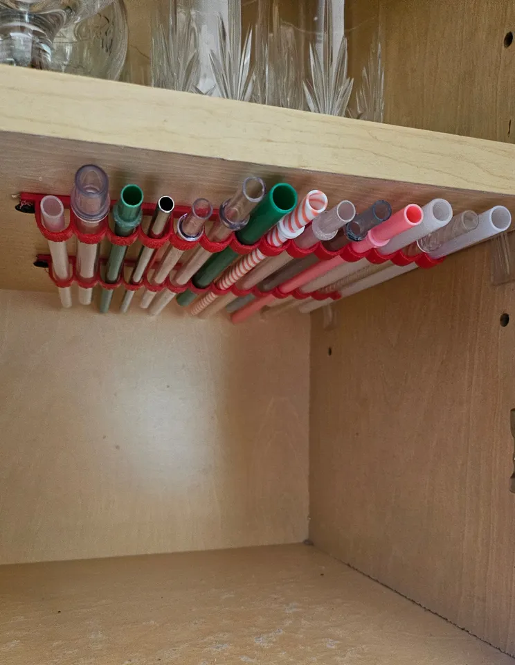 Straw Holder/Organizer by CaesarOfSalads | Download free STL model ...