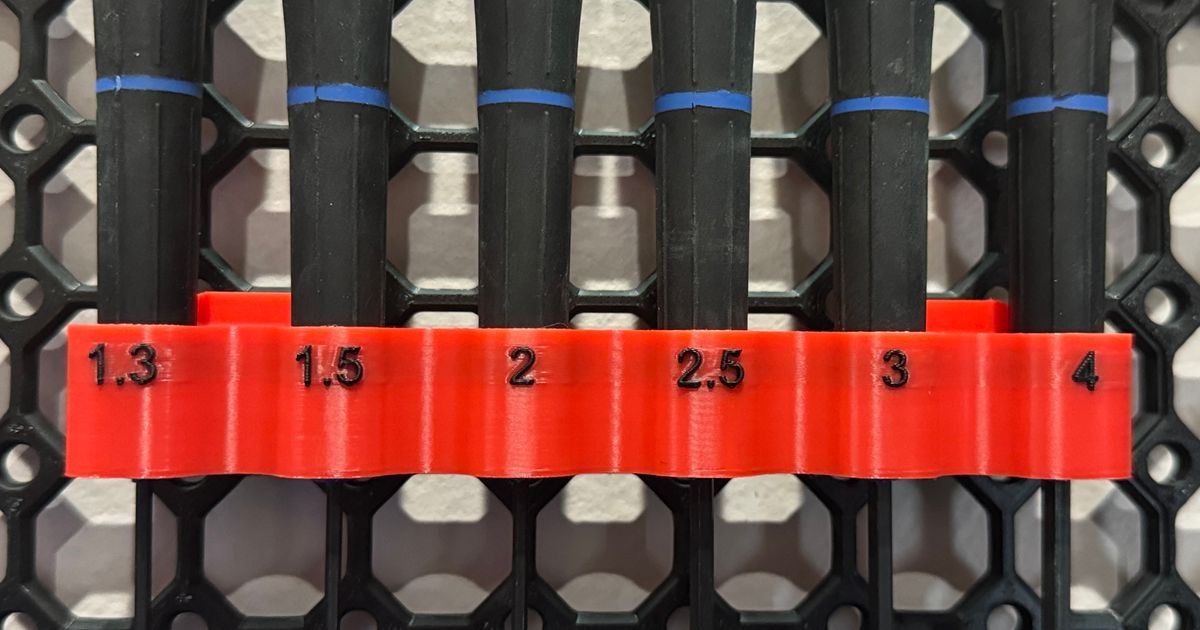 Multiboard Eklind Hex Driver Organizer by fiksdit | Download free STL model | Printables.com