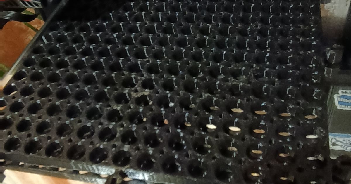 wall storage system by Masterokk | Download free STL model | Printables.com