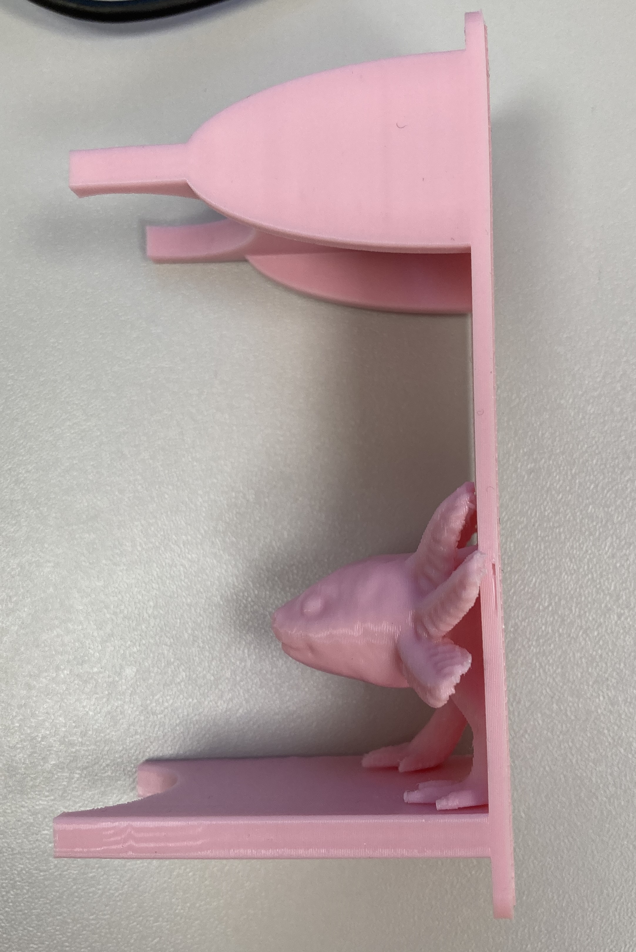 Pipette holder with axolotl by JoKa | Download free STL model ...