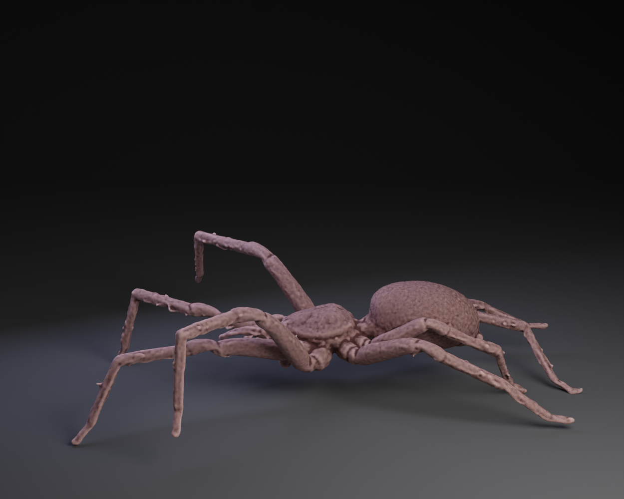 Hunter Spider by Peter Farell | Printables Store