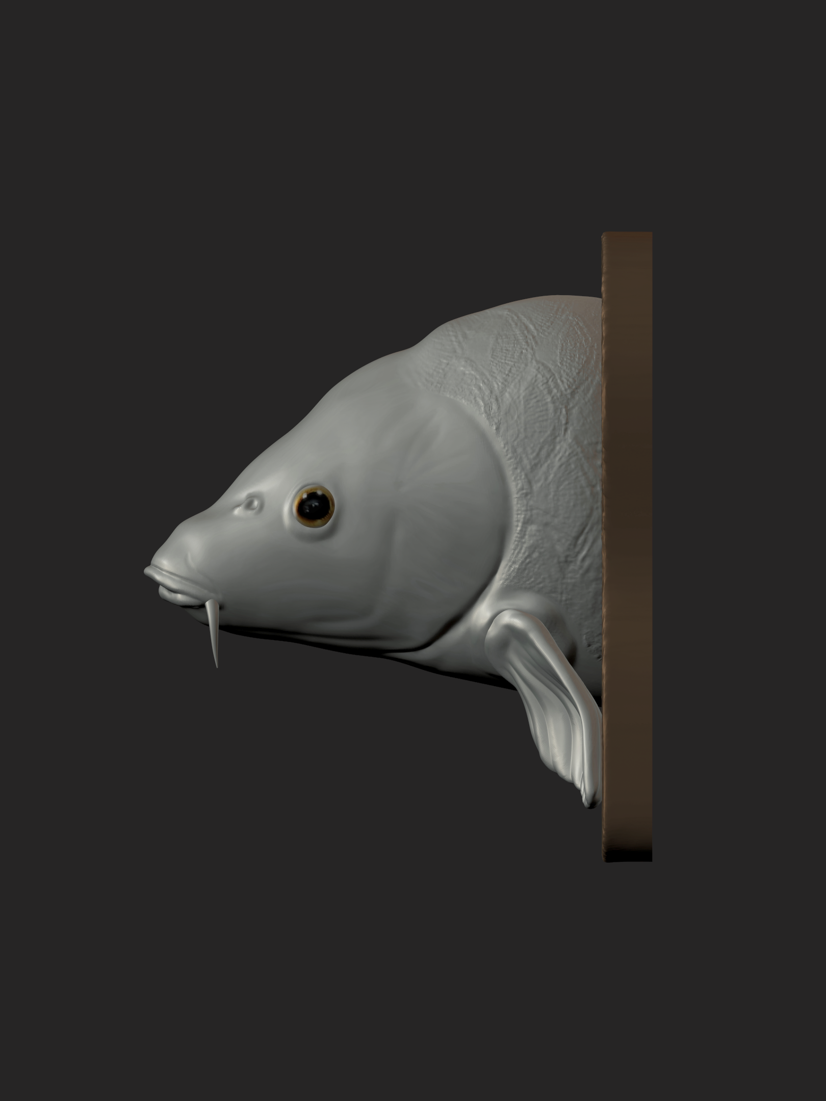 Carp statue wallmount by Rott3D | Download free STL model | Printables.com