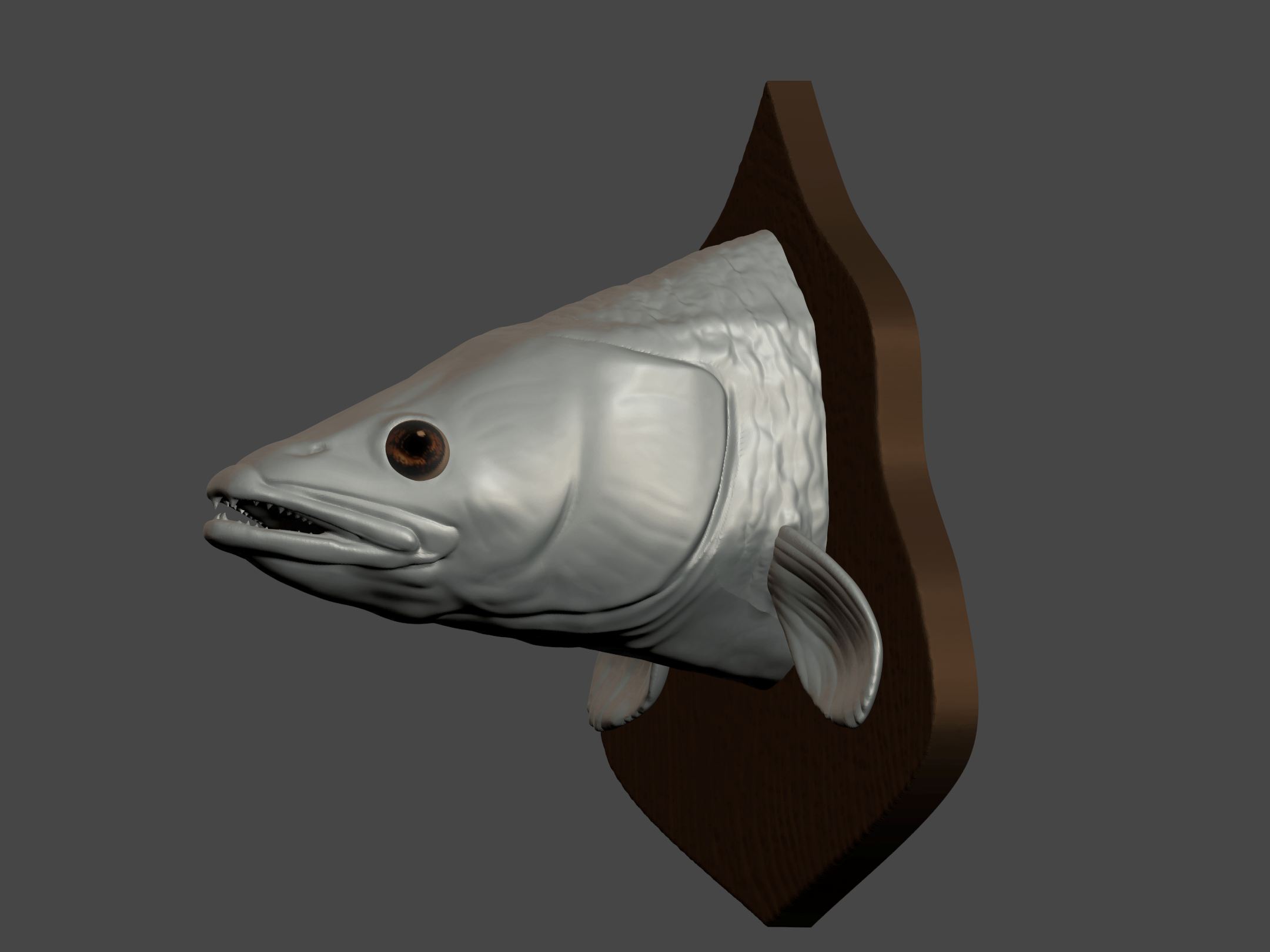 Zander head trophy wallmount by Rott3D | Download free STL model ...