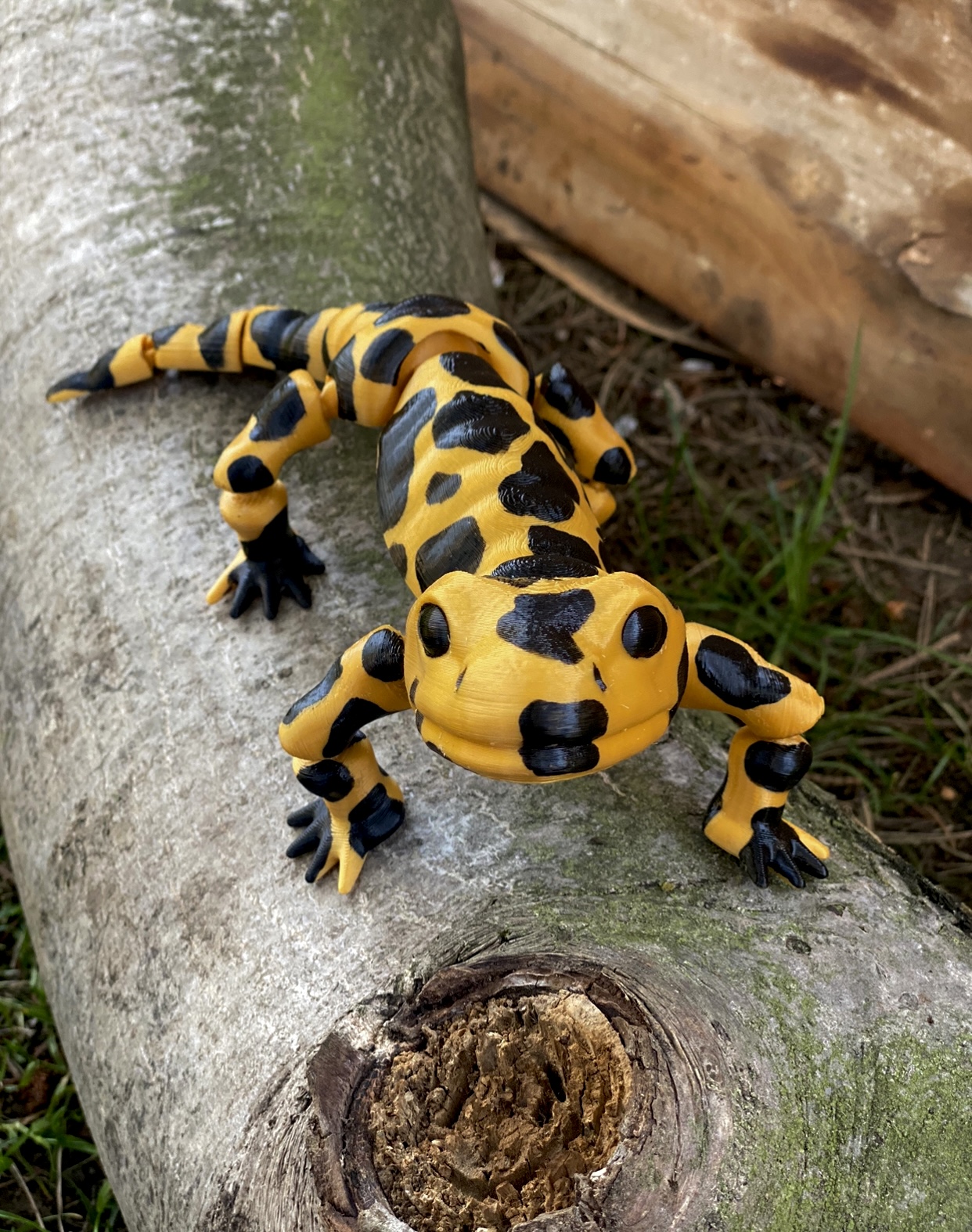 Salamander balljoint movable figure toy by Rott3D | Download free STL ...