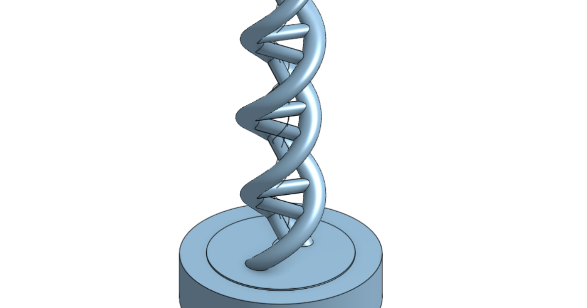 DNA Model por Bobtherunner123 | Descargar modelo STL gratuito ...