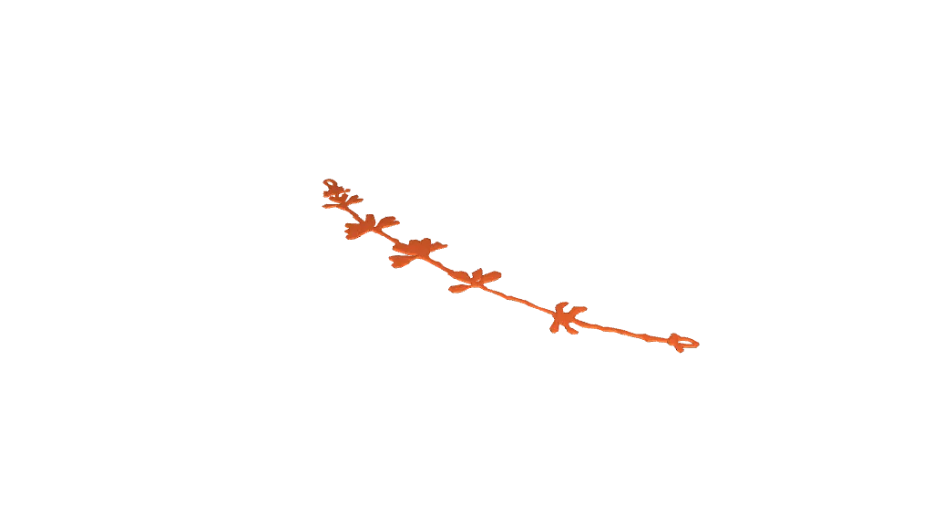 Floral Handbag Strap by Sdc | Download free STL model | Printables.com