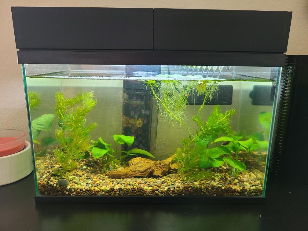 Top Fin 3 Gallon Beta Kit Lid Extension by stratoprinter | Download ...