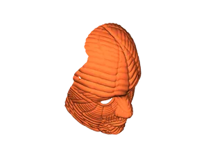 Fantasy Mask by Rott3D | Download free STL model | Printables.com