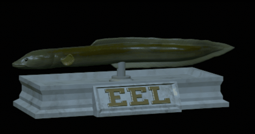 Eel fish model by Rott3D | Download free STL model | Printables.com