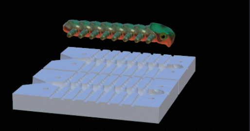 Worm form / mold fishing lure by Rott3D | Download free STL model ...