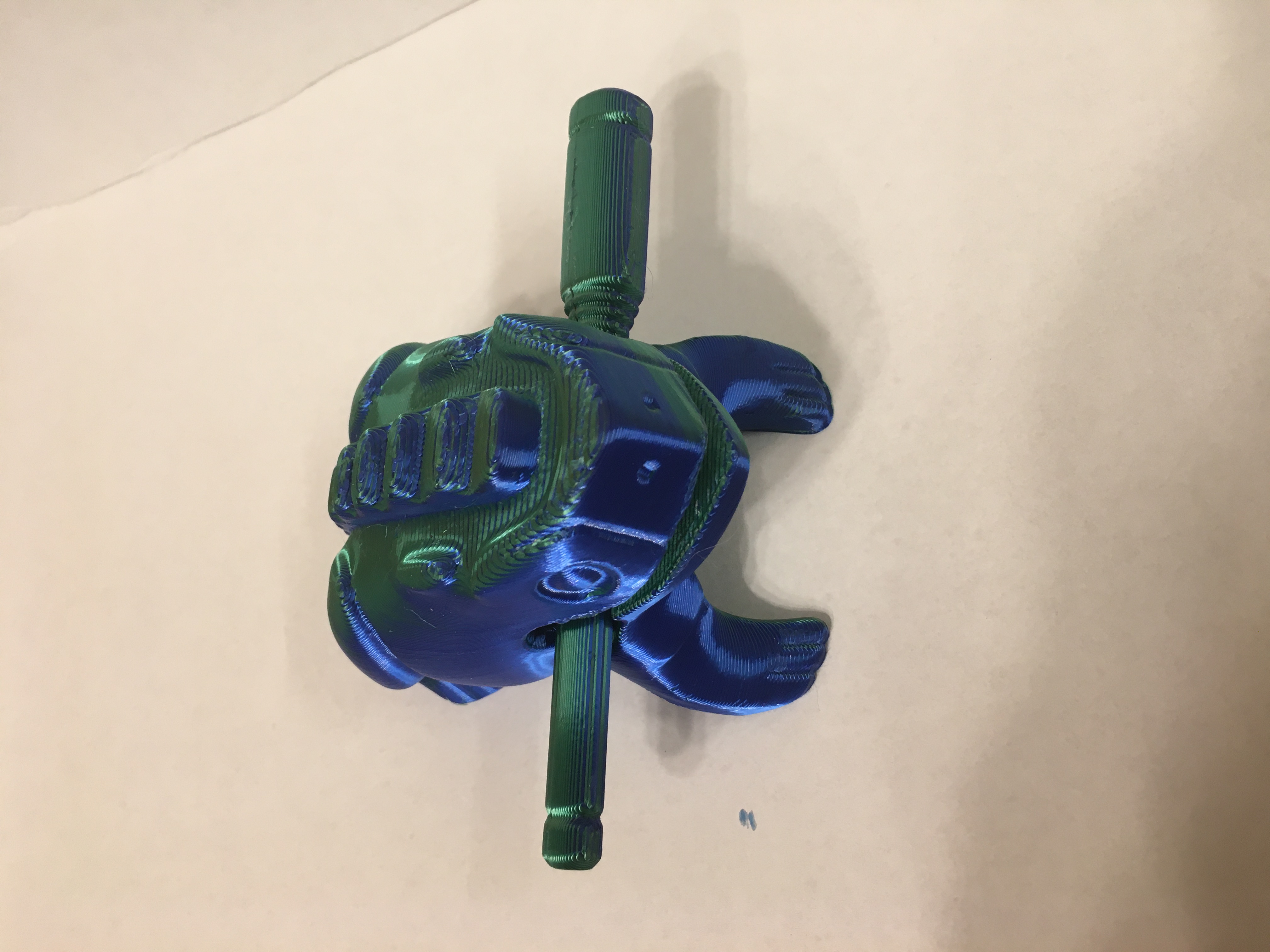 Guiro - the whole Percussion frog with support only in the mouth by ...