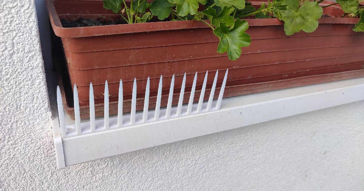 Bird spikes v2 von Coverex | Kostenloses STL-Modell herunterladen ...