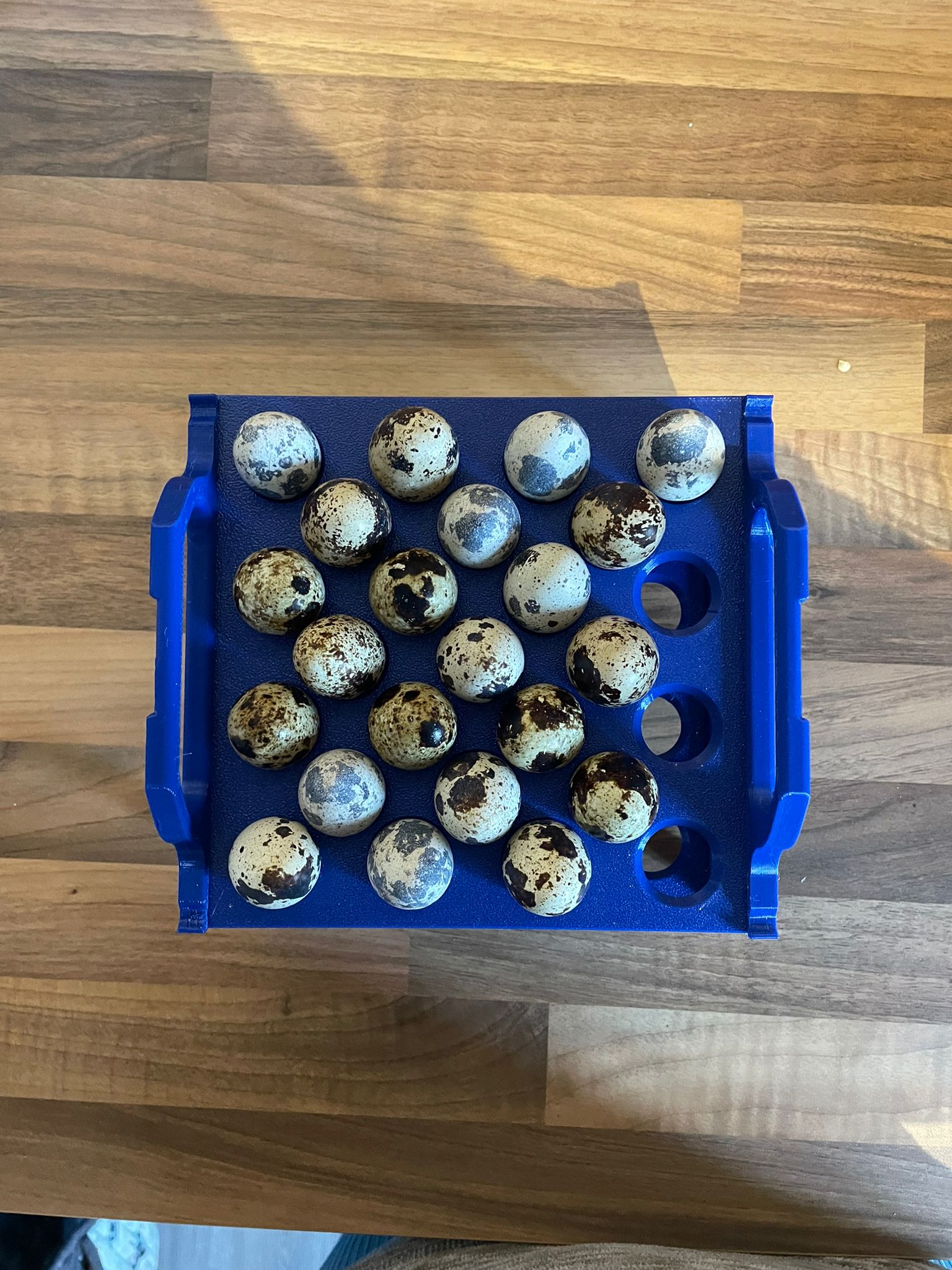 Quail Egg Tray (stackable) by Alex Ward | Download free STL model ...