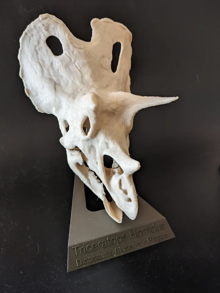 soporte Triceratops by ManelTo | Download free STL model | Printables.com