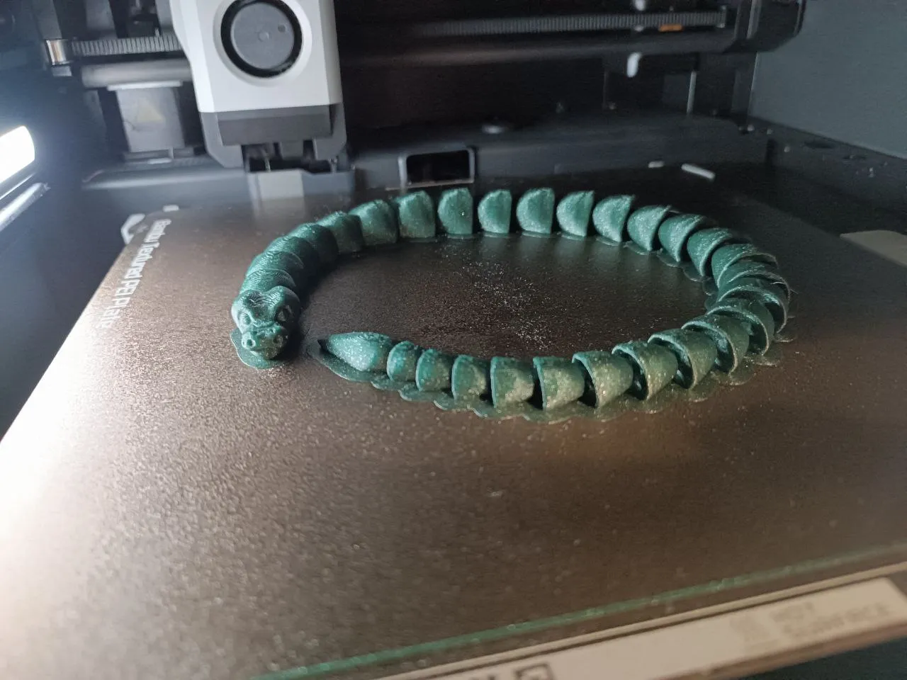 Flexi Python Snake 50cm long by Valeria Momo & Mattia | Download free ...