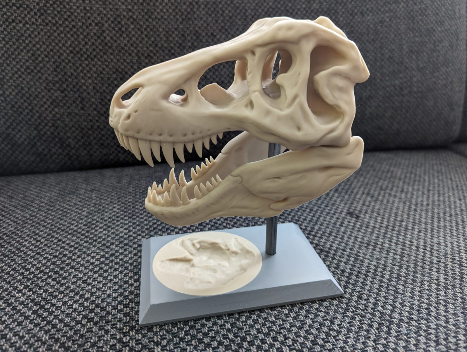 T-Rex base with footprint (Remixed to be two pieces) by Mike | Download ...