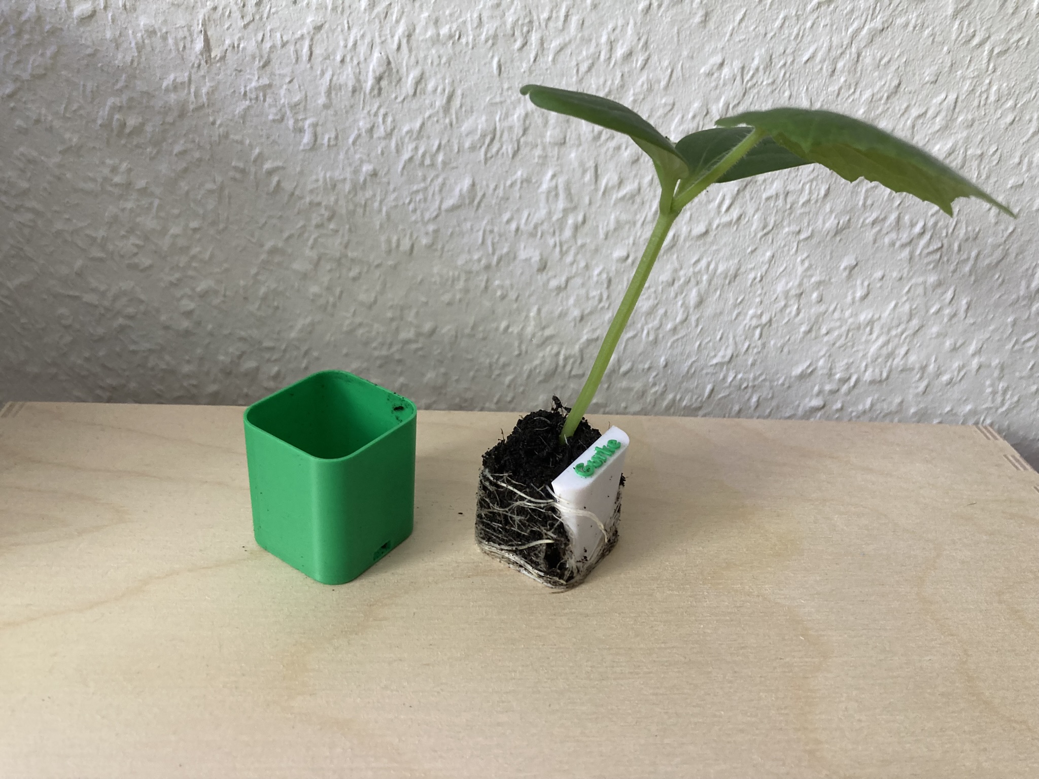 Cultivation Seed Planter Pot (Labeled) by Kaiser | Download free STL ...