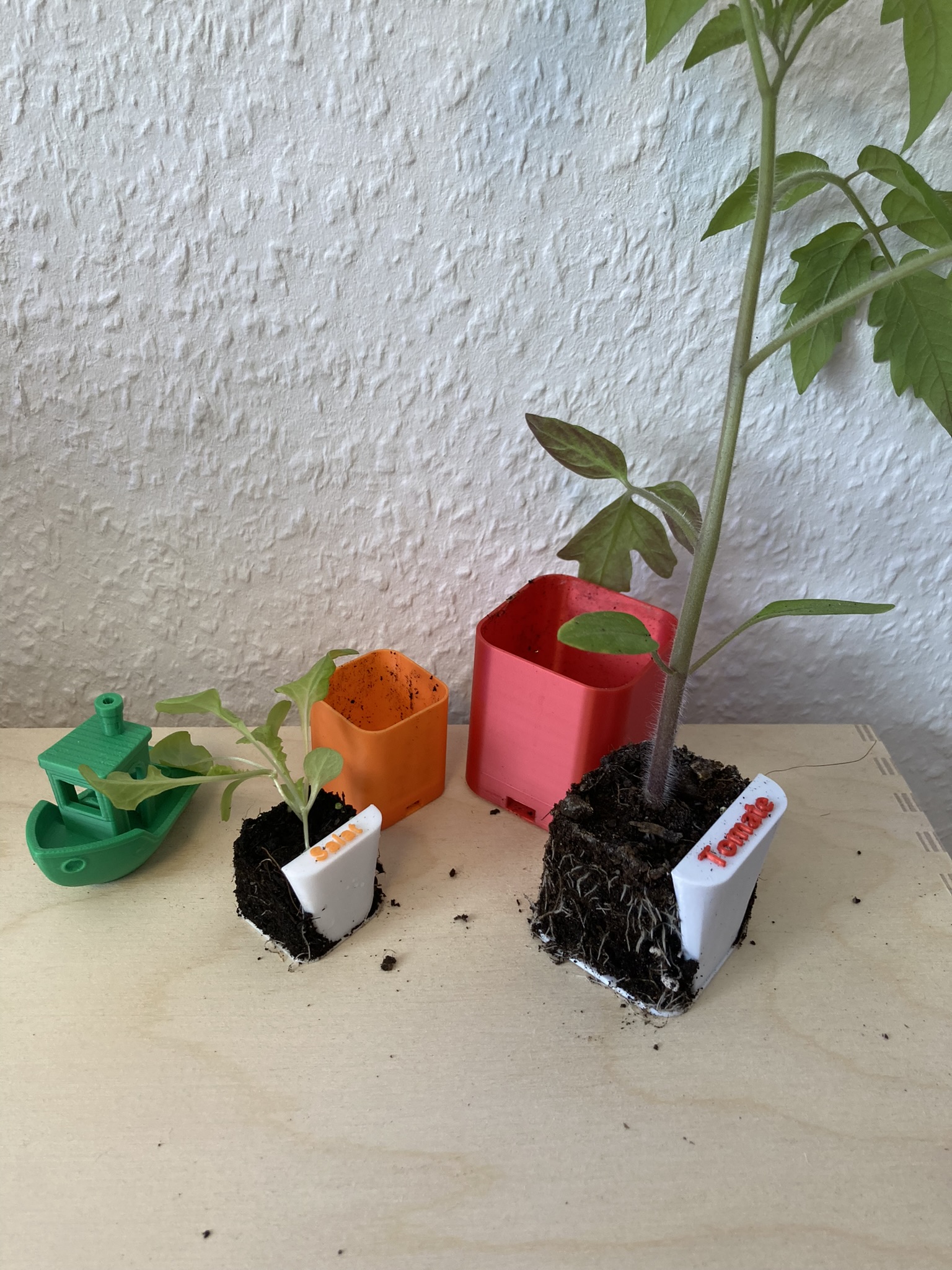 Cultivation Seed Planter Pot (Labeled) by Kaiser | Download free STL ...