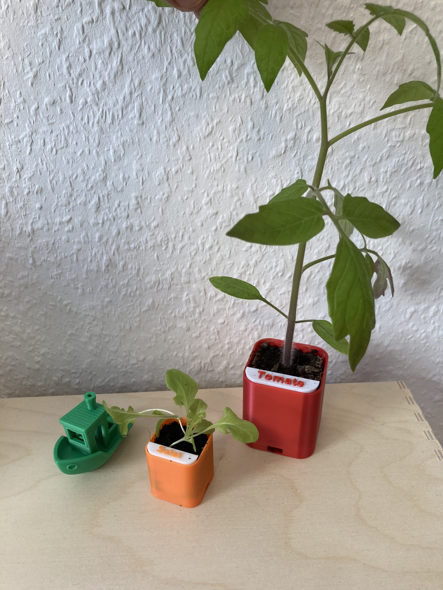 Cultivation Seed Planter Pot (Labeled) by Kaiser | Download free STL ...
